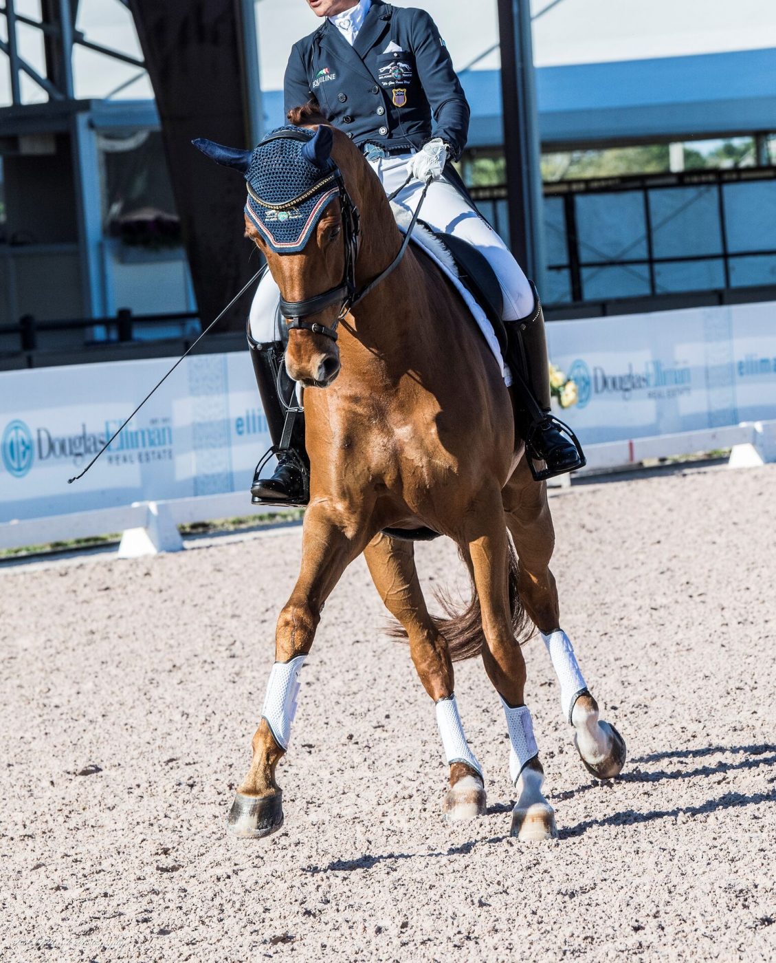 Flexible Filly Splint Boots - ThinLine Australia