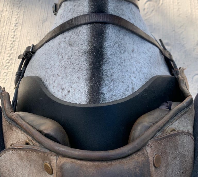 Basic English Contour Pad - ThinLine Australia